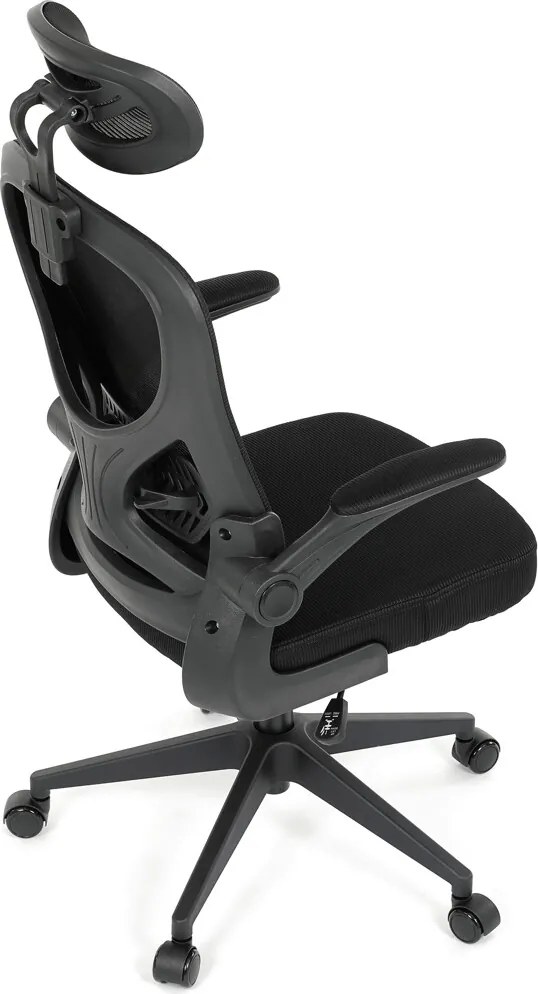 Ergonomická kancelářská židle ALEXANDRE - černá síťovina