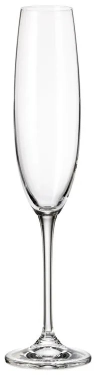 BOHEMIA FULICA SKLENICE NA ŠAMPAŇSKÉ 250ML SADA 6KS