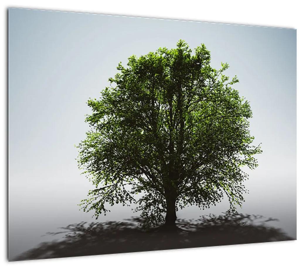 Skleněný obraz - Osamocený strom (70x50 cm)