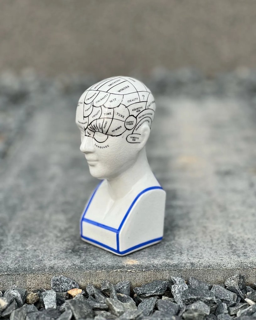 Porcelánová figurka malá - Frenologická lebka