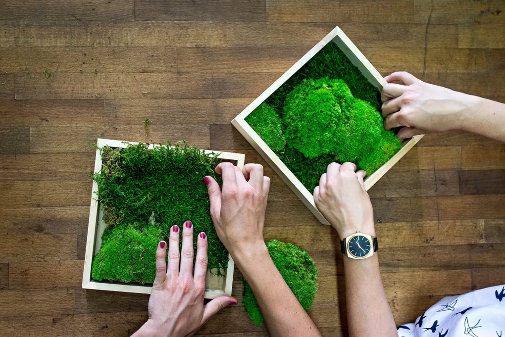 Gardners.cz Workshop - Vyrobte si svůj mechový obraz