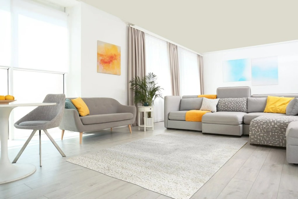 Mono Carpet, Kusový koberec Efor Shaggy 2137 Cream, 80x150, bílá, ložnice