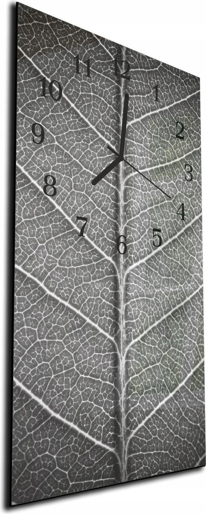 nástěnné skleněné hodiny sklo 60x30 cm list textura