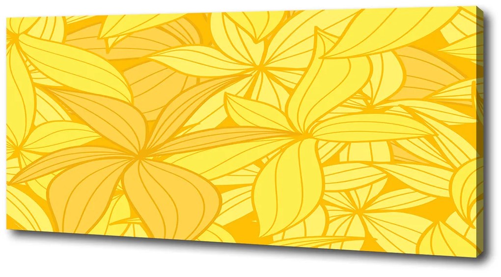 Foto obraz tištěný na plátně Žluté květiny pozadí
