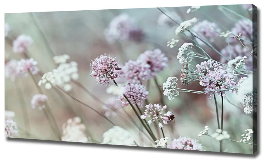 Wallmuralia Foto obraz tištěný na plátně Divoké květiny 120x60 cm