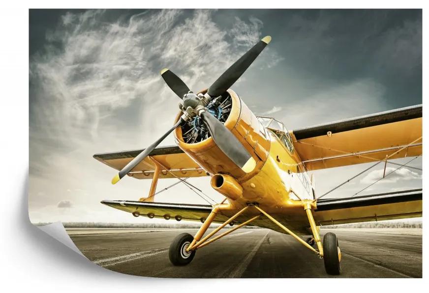 Fototapeta Starožitné Letadlo Strukturální vinyl 450x300