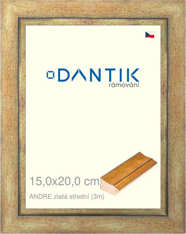 DANTIK rámeček 15x20 | ANDRE zlatá střední (Sklo Čiré)