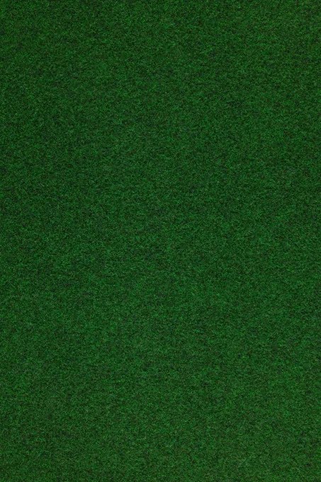 Umělá tráva Orotex Forest 6655