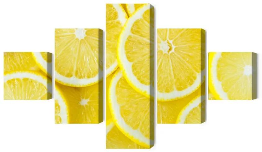 Vícedílný obraz Plátky Citronu Nedostatek Nedostatek Plátno Canvas 250x150