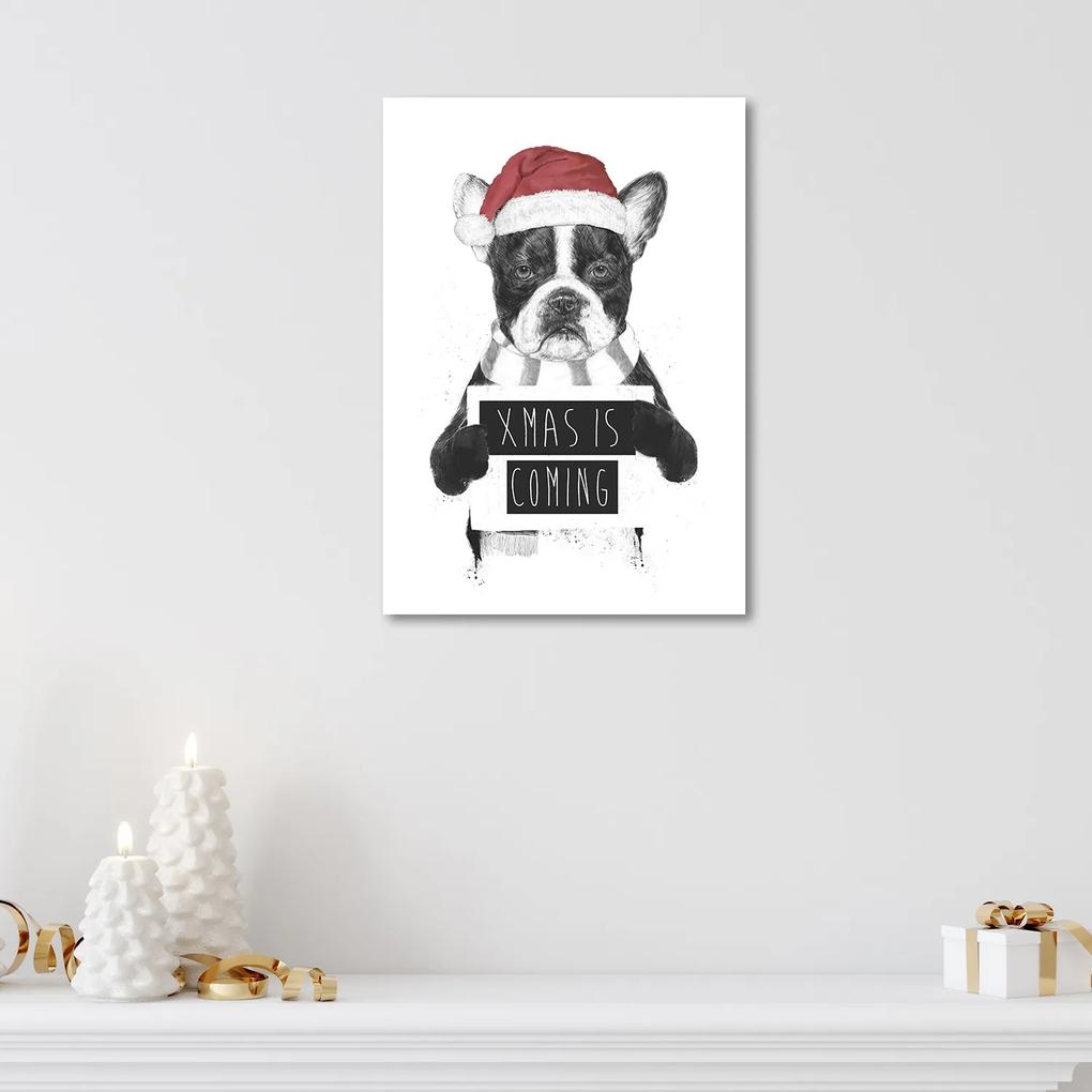 Gario Obraz na plátně Vánoční francouzský buldoček - Rykker Rozměry: 40 x 60 cm