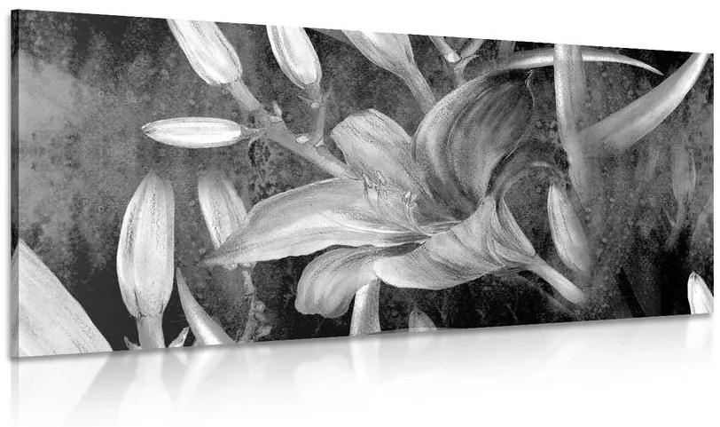 Obraz rozkvět lilie v černobílém provedení - 120x60 cm
