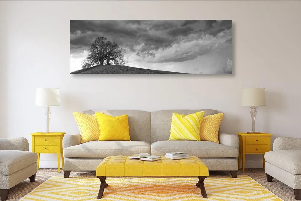Obraz černobílé osamělé stromy Varianta: 120x40