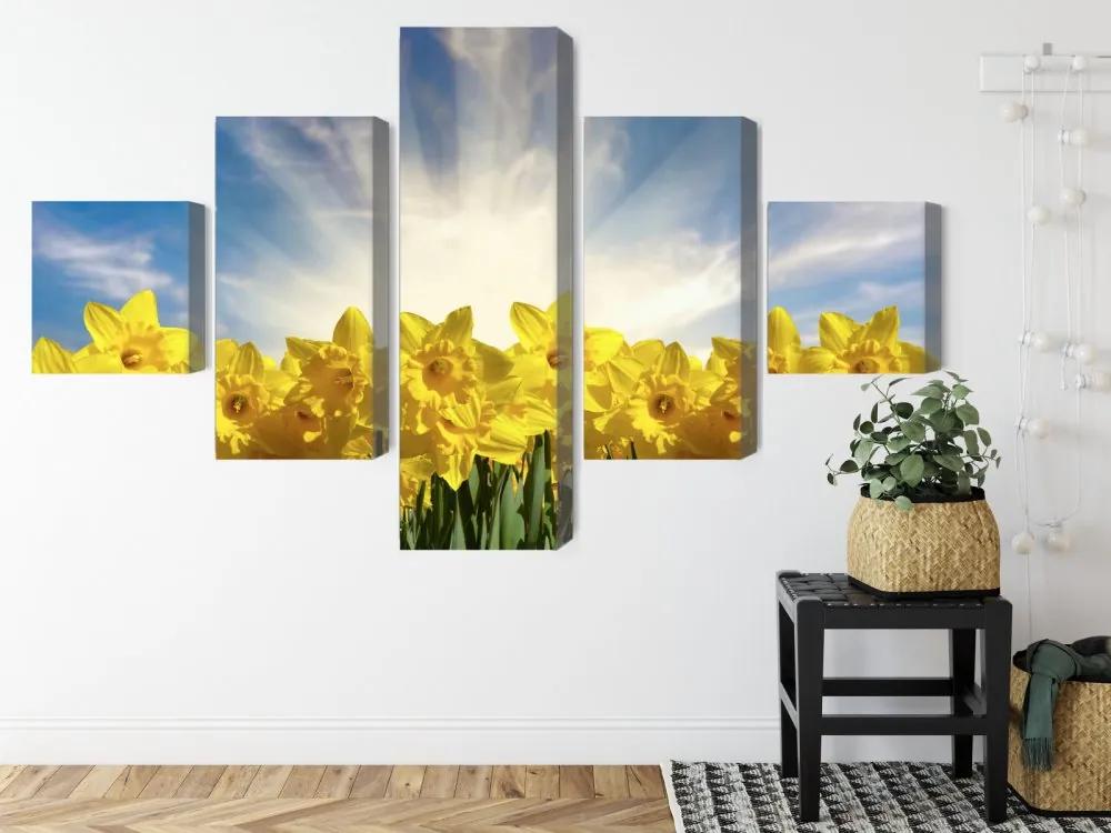 Vícedílný obraz 3D Pole Narcisů Nedostatek Nedostatek Plátno Canvas 150x90
