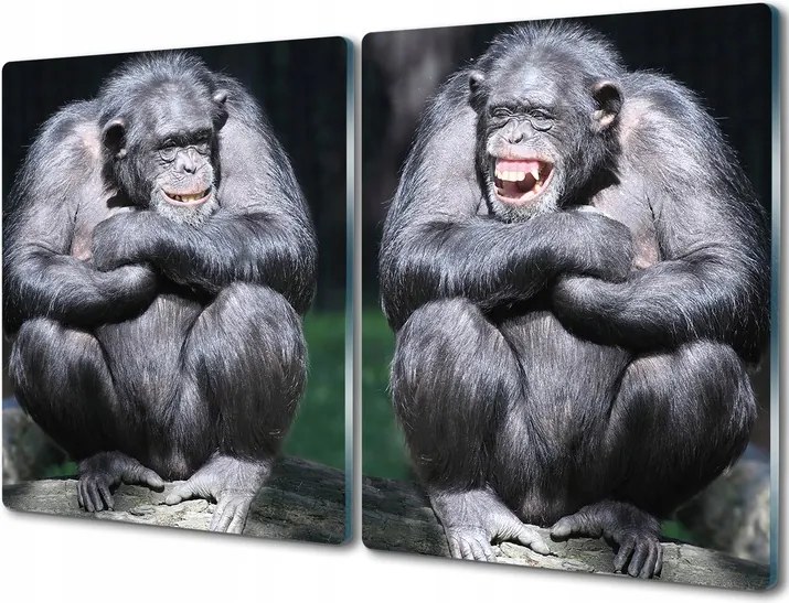 Skleněná krájecí deska Dva šimpanzi 2x40x52 cm