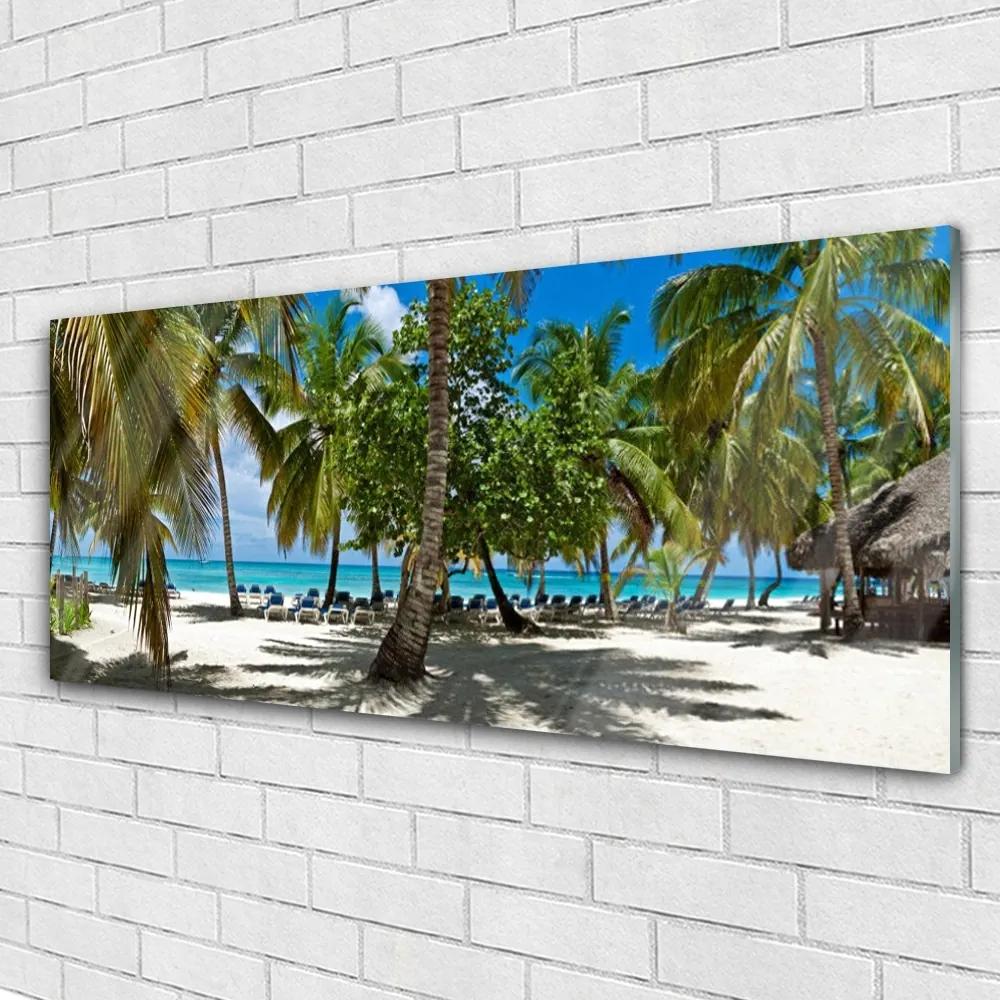 akrylový obraz Pláž Palma Stromy Krajina 125x50 cm