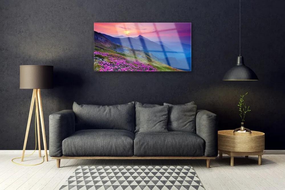 Obraz na skle Hory Louka Květiny Krajina 140x70 cm