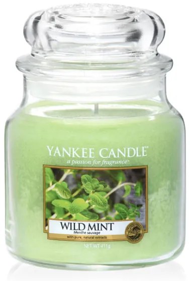 Yankee Candle – Classic vonná svíčka Wild Mint (Divoká máta), 411 g