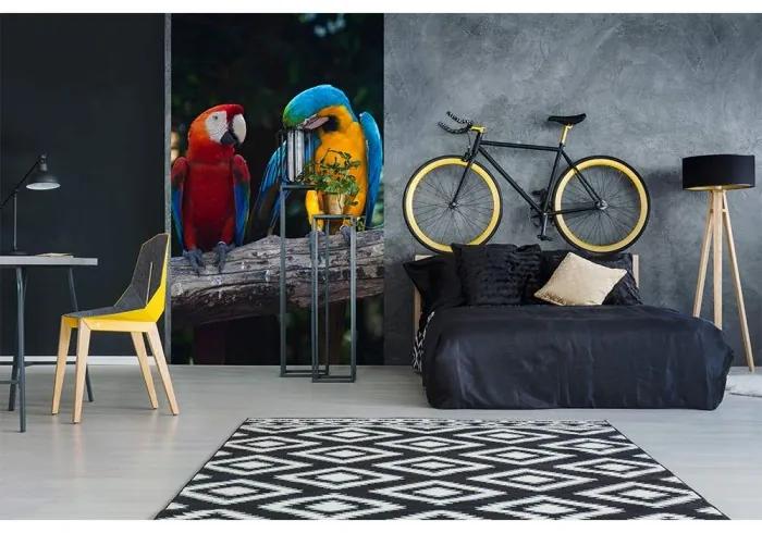 DIMEX | Vliesová fototapeta na zeď Barevní papoušci Ara MS-2-0223  | 150 x 250 cm | vícebarevná