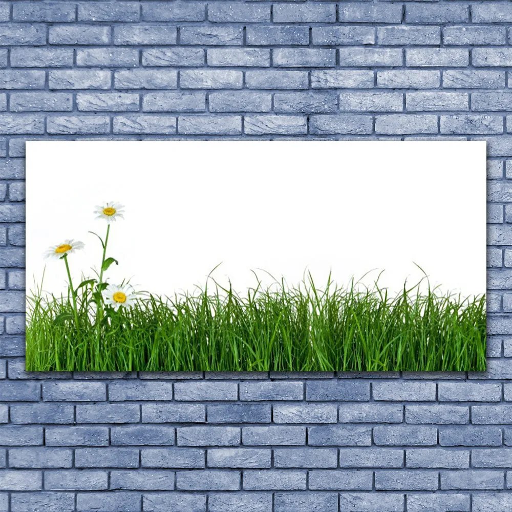 akrylový obraz Plevel Příroda Rostlina 120x60 cm