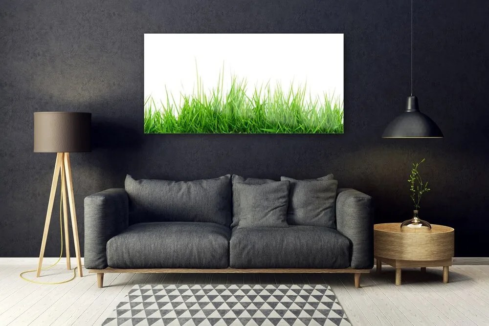 Plexisklo-obraz Tráva Příroda Rostlina 120x60 cm