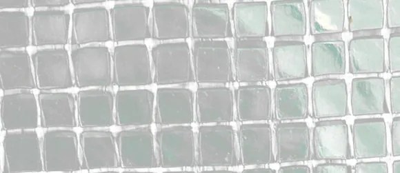 Foxigy Zahradní fóliovník Bílý 2x4 m s UV filtrem STANDARD