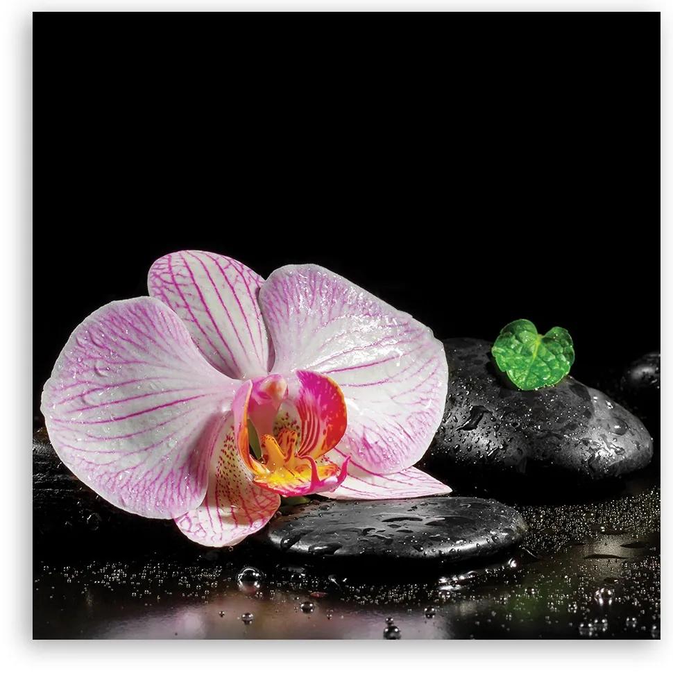 Obraz na plátně, Kvetoucí orchidej zen - 40x40 cm