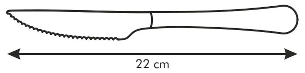 TESCOMA Steakový nůž CLASSIC, 2 ks