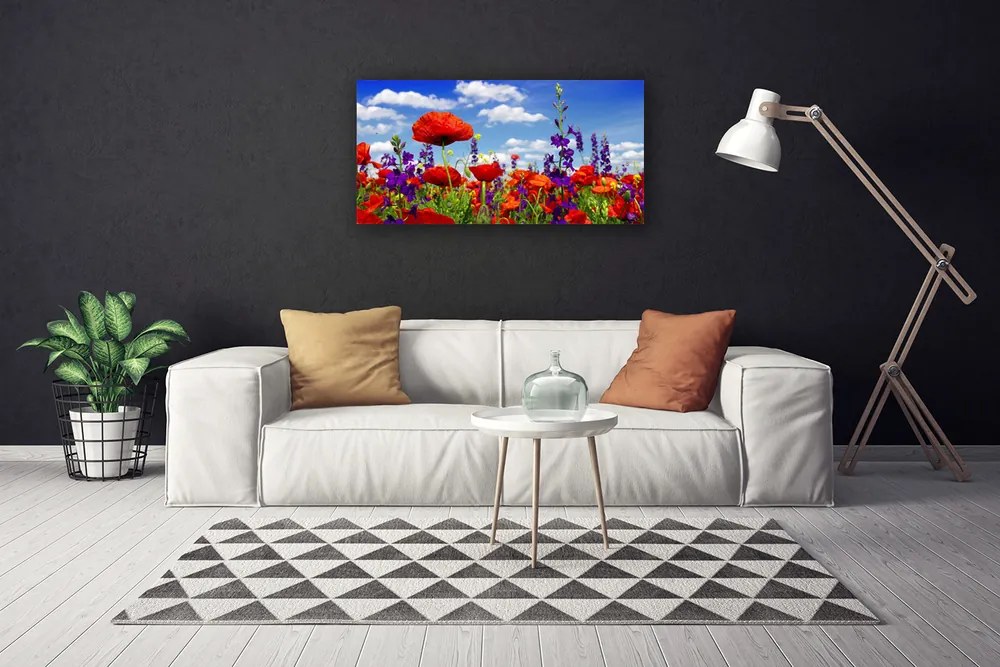 Obraz na plátně Tulipány Rostlina 120x60 cm