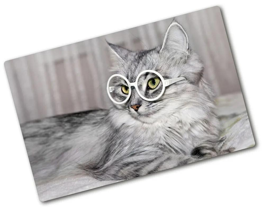 Wallmuralia Kuchyňská deska skleněná Kočka v brýlích 80x52 cm