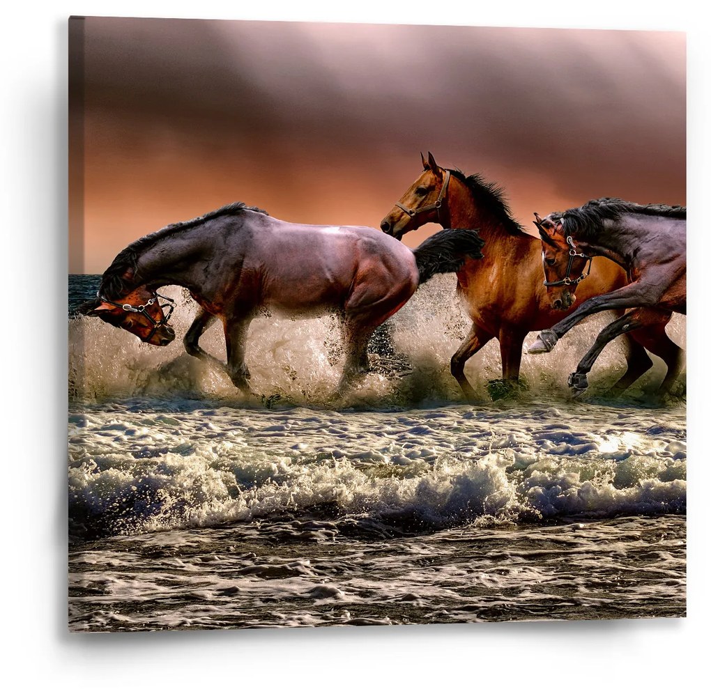 Obraz SABLIO - Koně ve vodě 50x50 cm