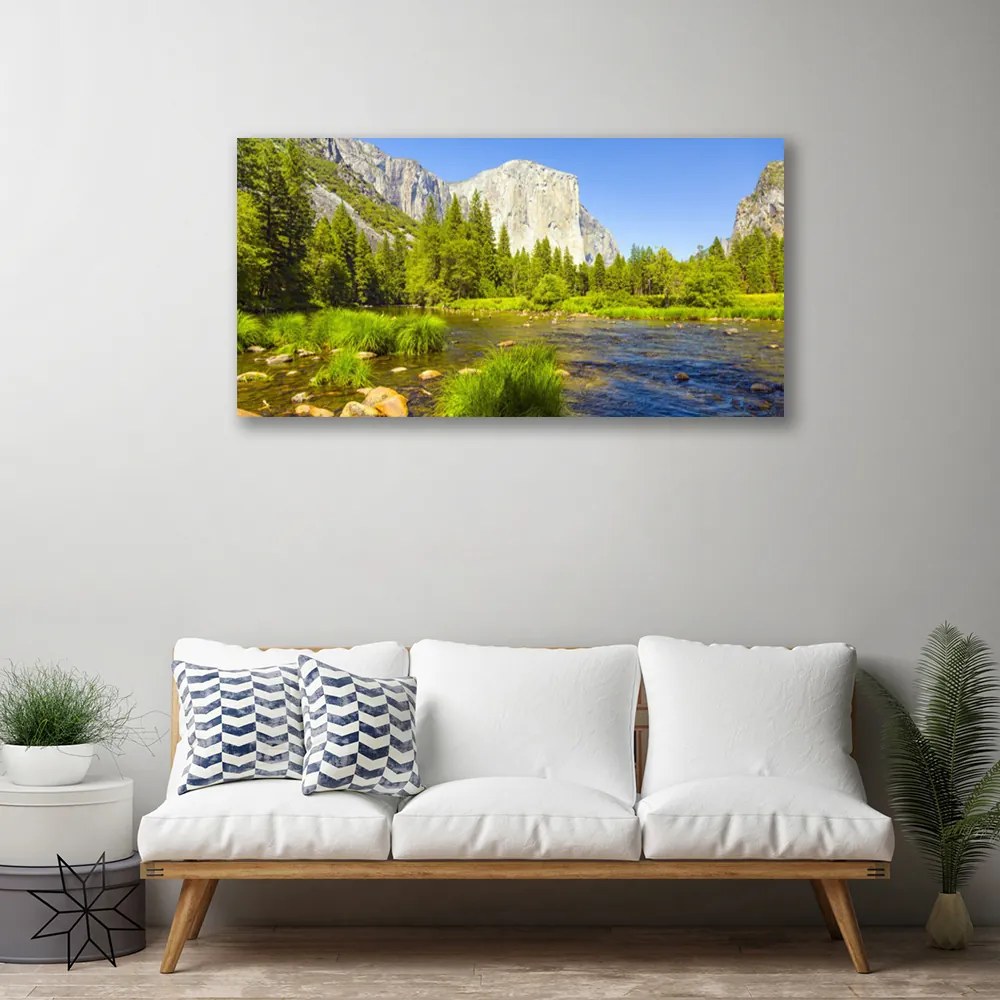 Obraz na plátně jezero Hora Les Příroda 100x50 cm
