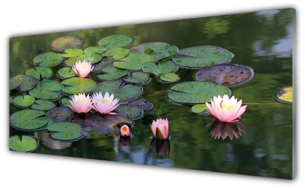 akrylový obraz Vodní Lilie Rybník Příroda 125x50 cm