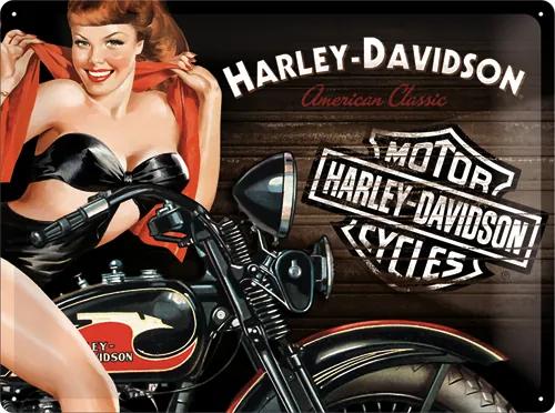 Postershop Plechová cedule - Harley-Davidson (Motorkářka) 30x40 cm