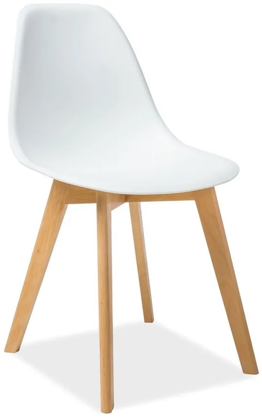 Casarredo Jídelní plastová židle v bílé barvě s dřevěnou konstrukcí KN900