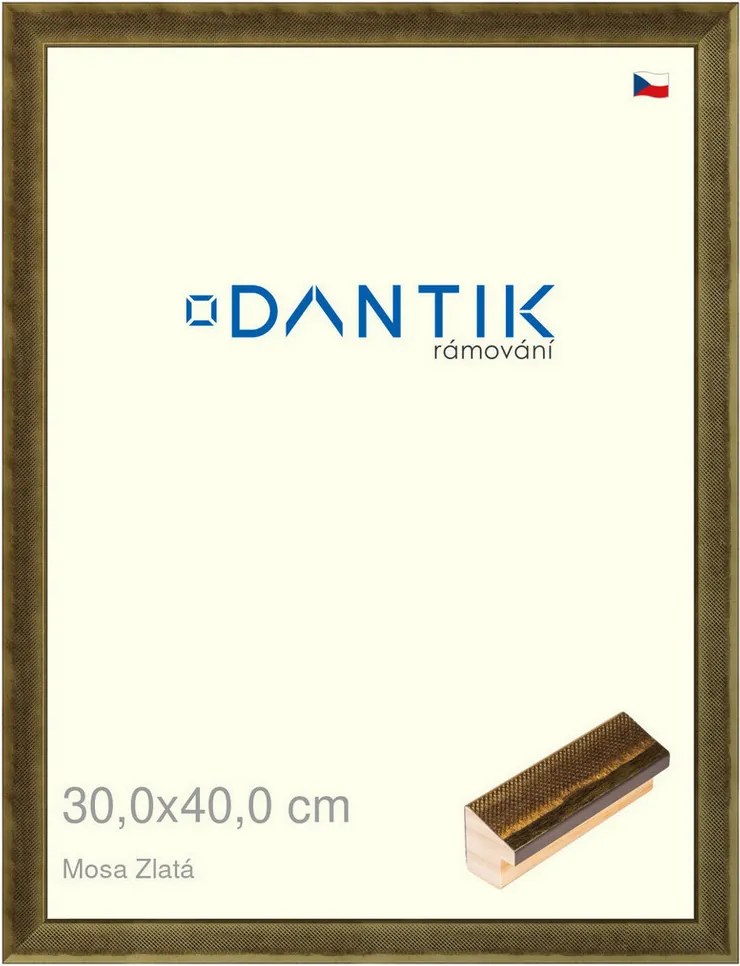 DANTIK rámeček 30x40 | Mosa zlatá (Plexi Čiré)