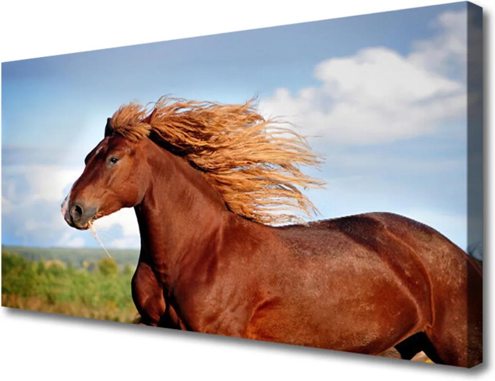 Obraz na plátně Skleněný Kůň Zvířata