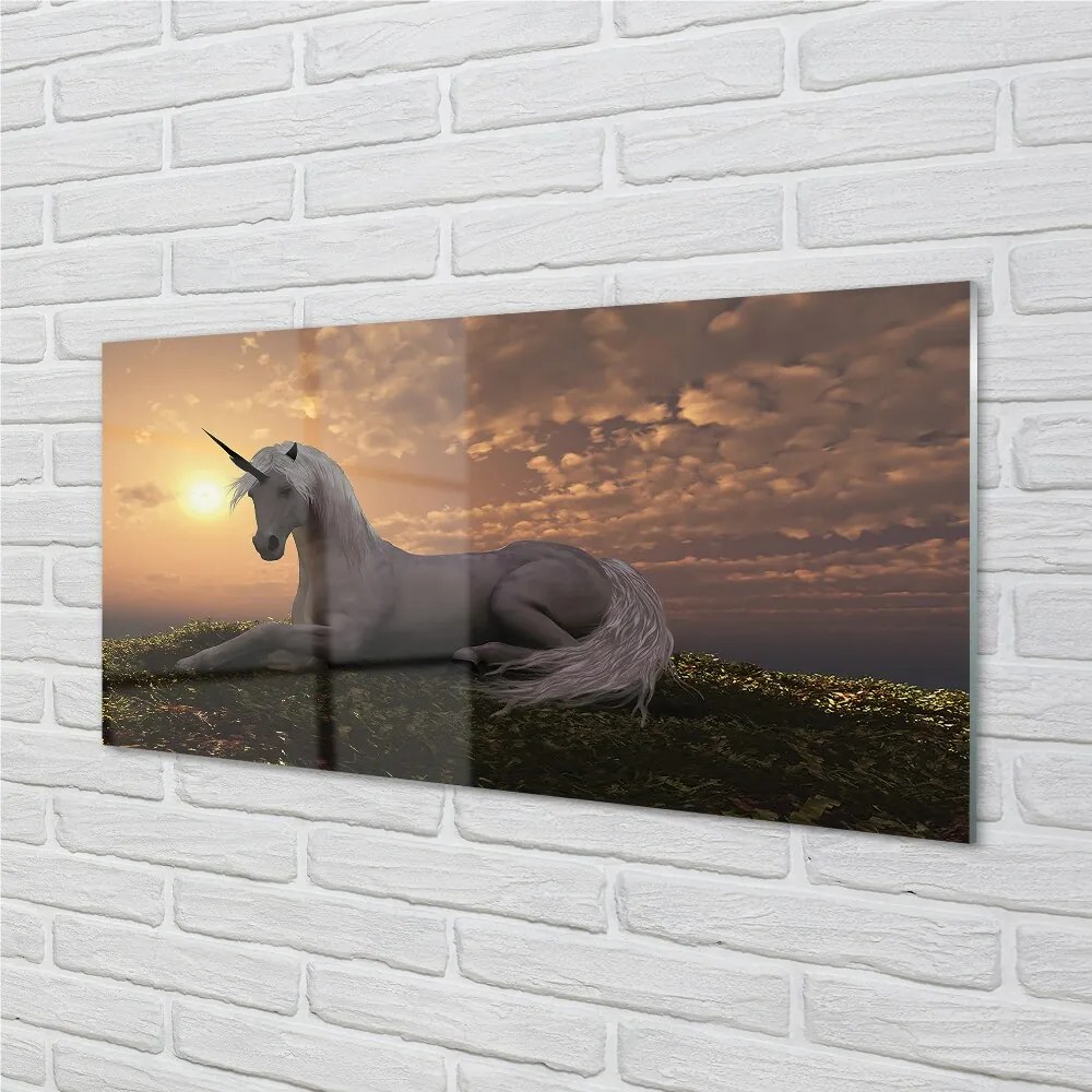 Obraz na skle Unicorn horské slunce 100x50 cm