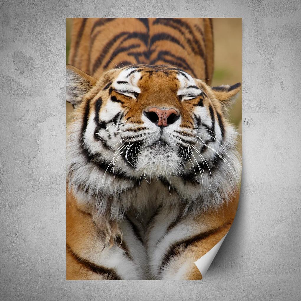Plakát - Tygr z blízka (80x120 cm) - PopyDesign