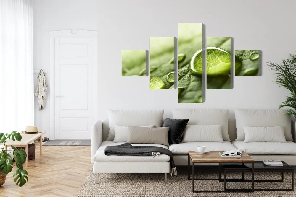 Vícedílný obraz Kapky Vody Na List V Makro Měřítku Nedostatek Nedostatek Plátno Canvas 200x120