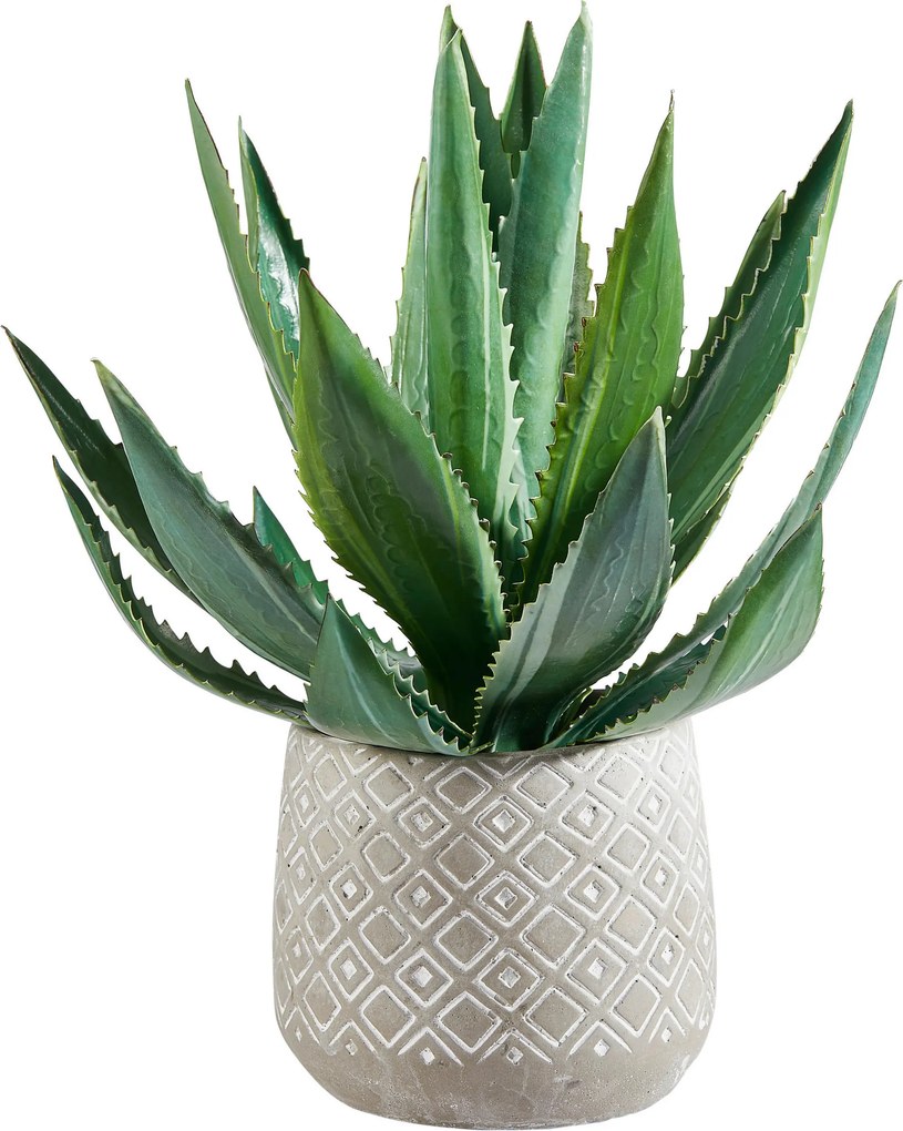 XXXLutz AGÁVE 33 cm - Umělé rostliny - 0068600002