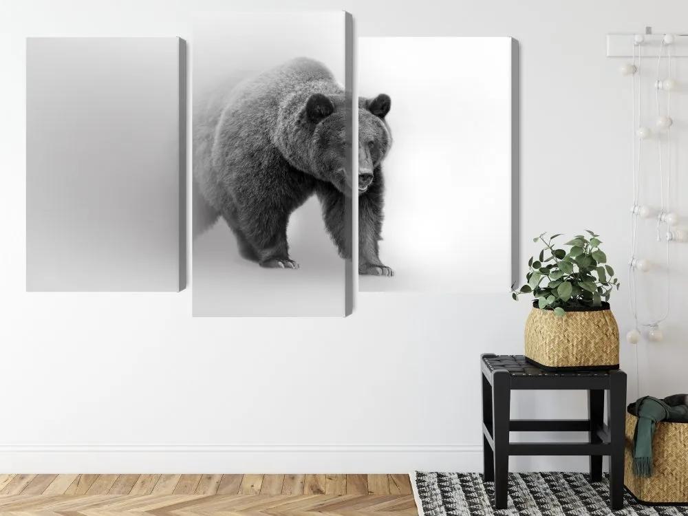Vícedílný obraz Medvěd V Mlze 3D Nedostatek Nedostatek Přírodní plátno 60x40