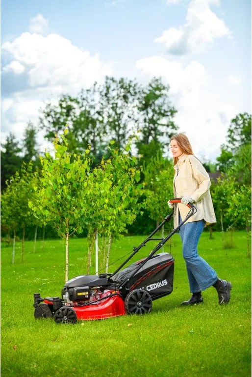 Hahn & Sohn Cedrus Benzínová sekačka KS51S-ZT s pojezdem otočná přední kola HP161050
