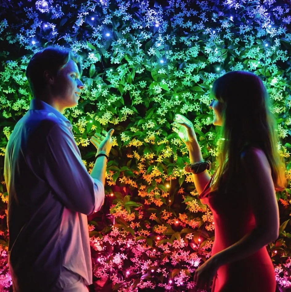 Barevná světýlka venkovní Twinkly strings světelný řetěz 8 m, 100 diod RGB, černý kabel, IP44