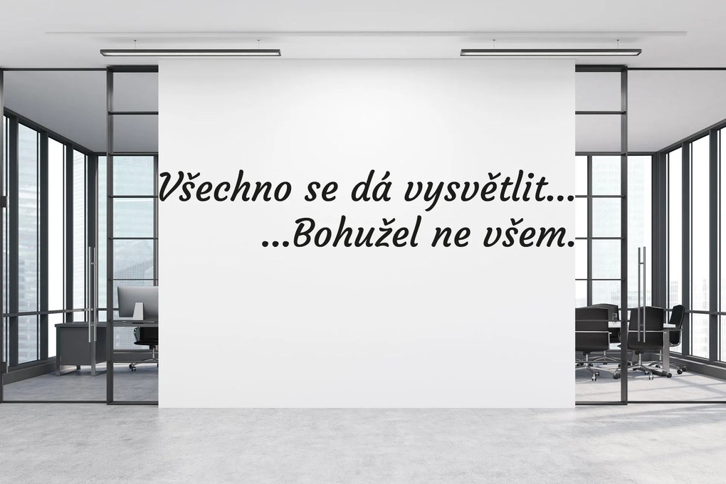 Lepy.cz Samolepka na zeď Všechno se dá vysvětlit Velikost (šířka x výška): 50x9cm, Barevná varianta: Bílá