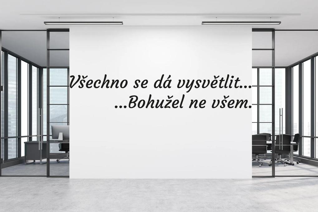 Lepy.cz Samolepka na zeď Všechno se dá vysvětlit Velikost (šířka x výška): 90x17cm, Barevná varianta: Bílá
