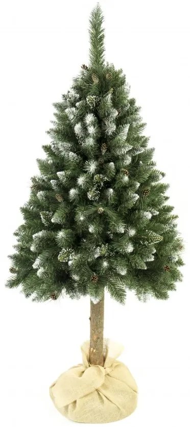 Vánoční stromek Borovice diamantová se šiškou na pníku 220 cm