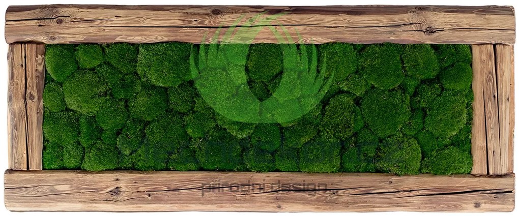 Mechdekor Obraz z masivu 136x56cm (staré dřevo) – Kopečkový mech světlé zelený