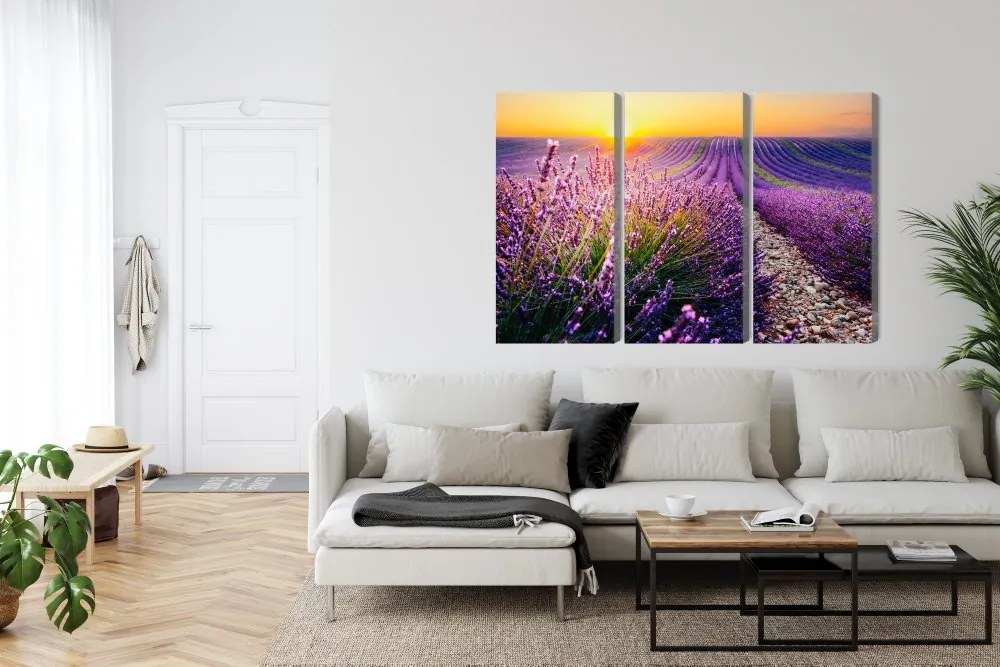 Vícedílný obraz Levandulové Pole Při Západu Slunce 3D Nedostatek Nedostatek Plátno Canvas 120x80
