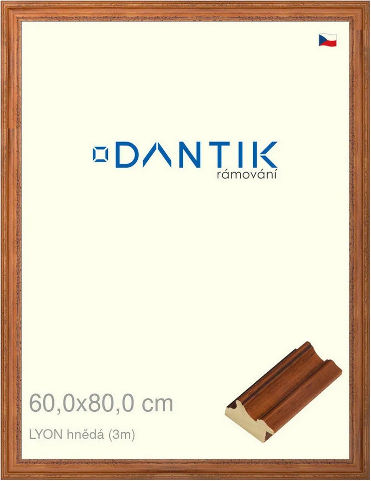 DANTIK rámeček 60x80 | LYON hnědá (Plexi Čiré)