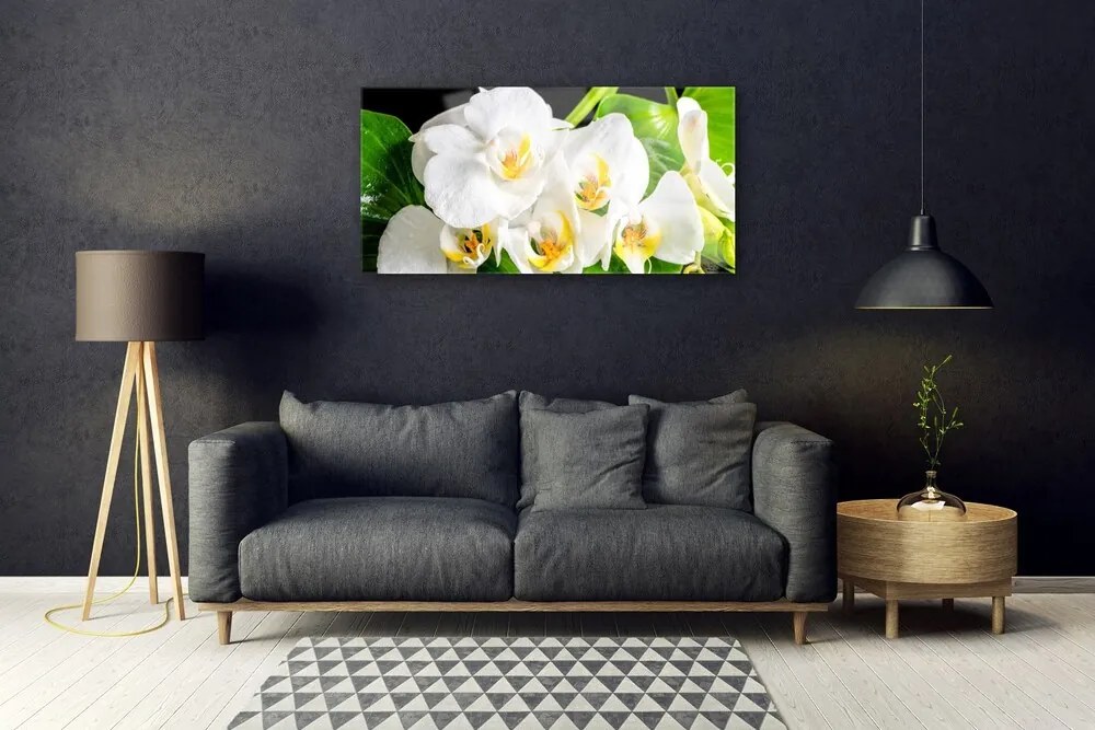 Obraz na skle Orchidej Květiny Příroda 120x60 cm